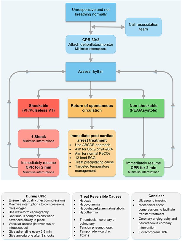 Guidelines: In-hospital resuscitation | Resuscitation Council UK